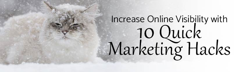 10 Tips to Increase Online Visibility - Oyova