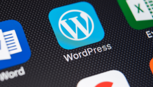 WordPress Multisite for Multi Location Businesses - Oyova