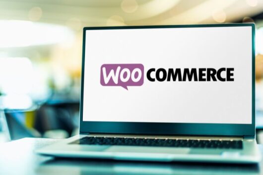 Using Gravity Forms for WooCommerce: A Guide - Oyova